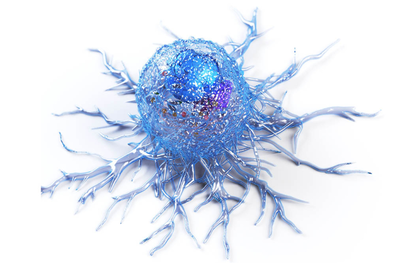 Kanker en je omgeving